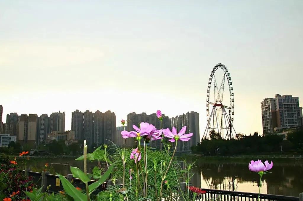 Jintang Fandeng Bookstore, a place for petty bourgeoisie to read - iNEWS