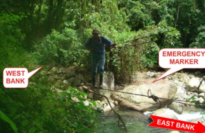 The disappearance of the Panamanian rainforest: 90 unexplainable photos ...