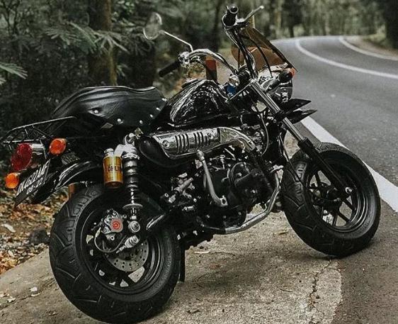 Limited Edition and Modified Appreciation of Honda Monkey - iMedia