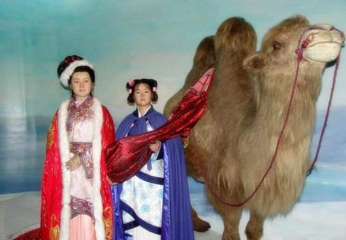 Su Wu was trapped by the Huns for 19 years, and married and had a child ...