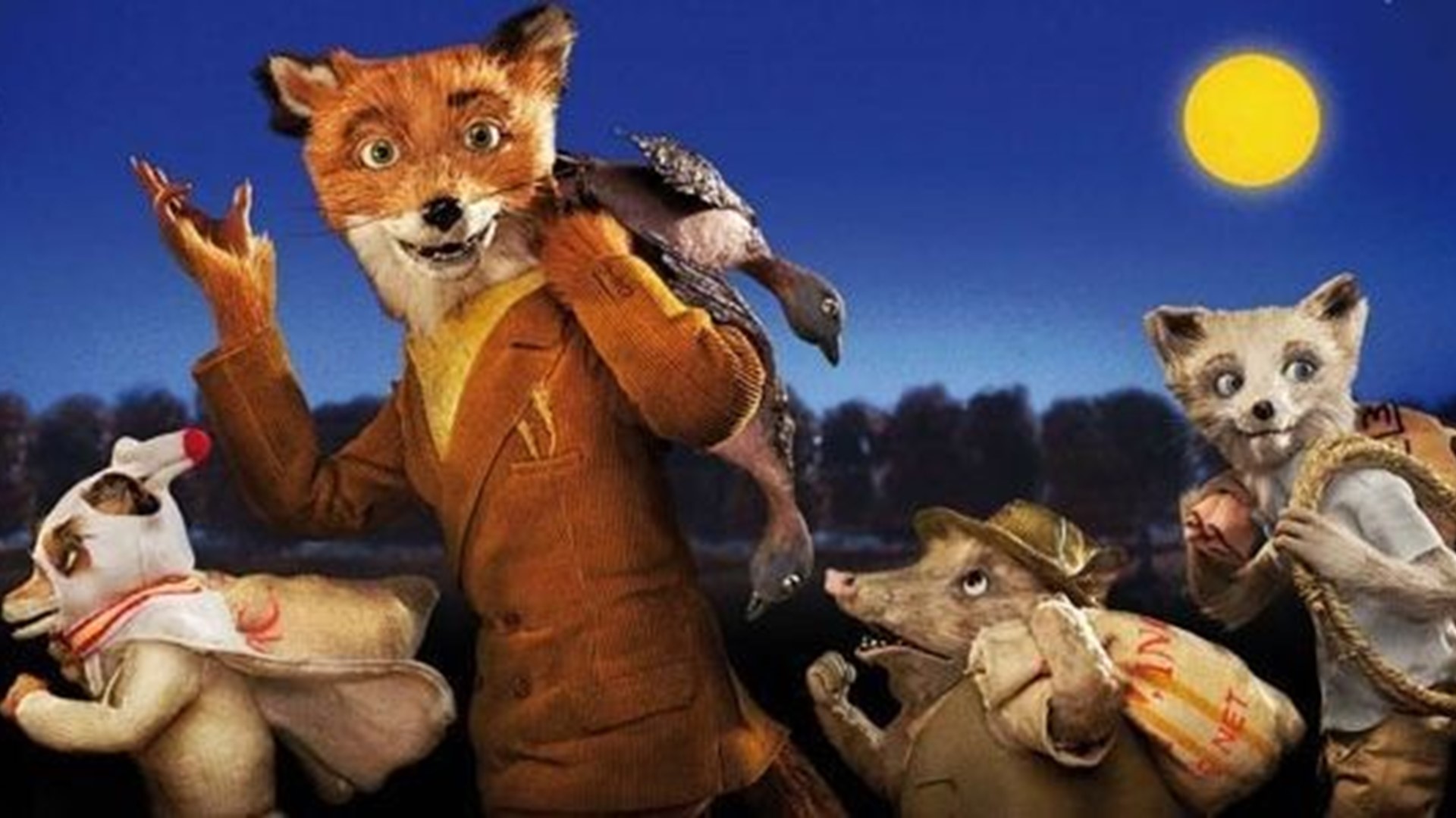 "The Great Fox Daddy": A story about life and love, I hope you can ...