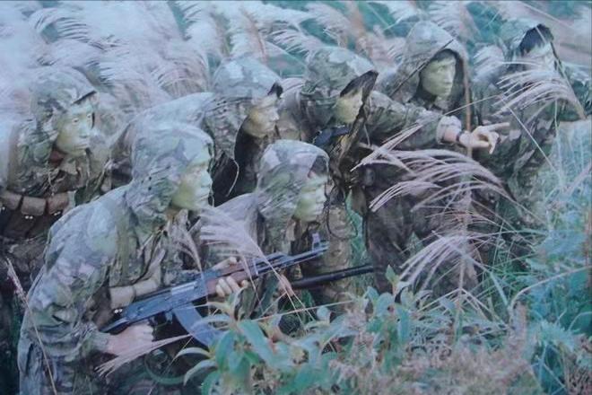 Chinese 81-style "big five-leaf" camouflage clothing, with high ...