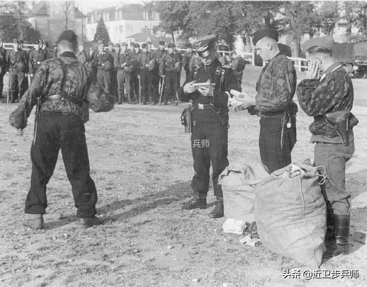 Explain the uniforms of Hermann Goering's Paratrooper Panzer Corps: a ...