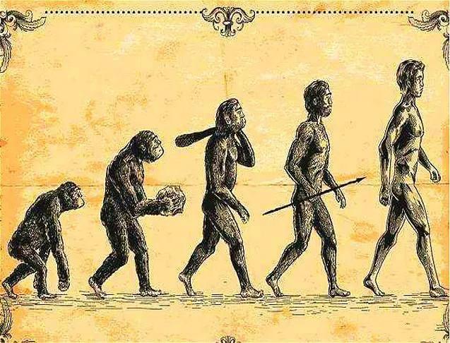 Where did the ancestors of mankind originate? - iNEWS