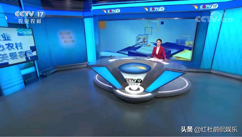 Another local TV hostess Zhang Yi joined CCTV and became the first ...
