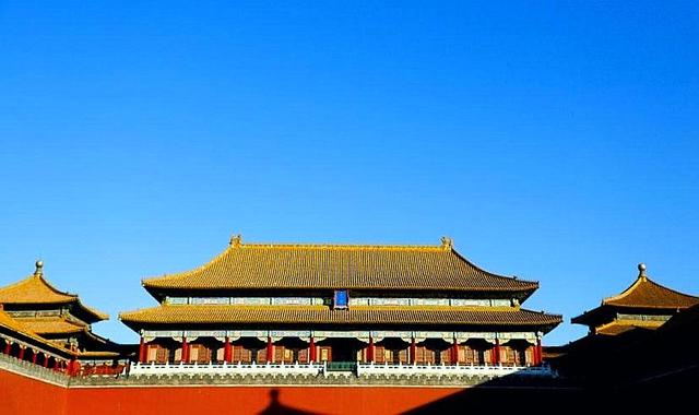 Golden Phoebe: Why is it called Golden Phoebe? - iNEWS