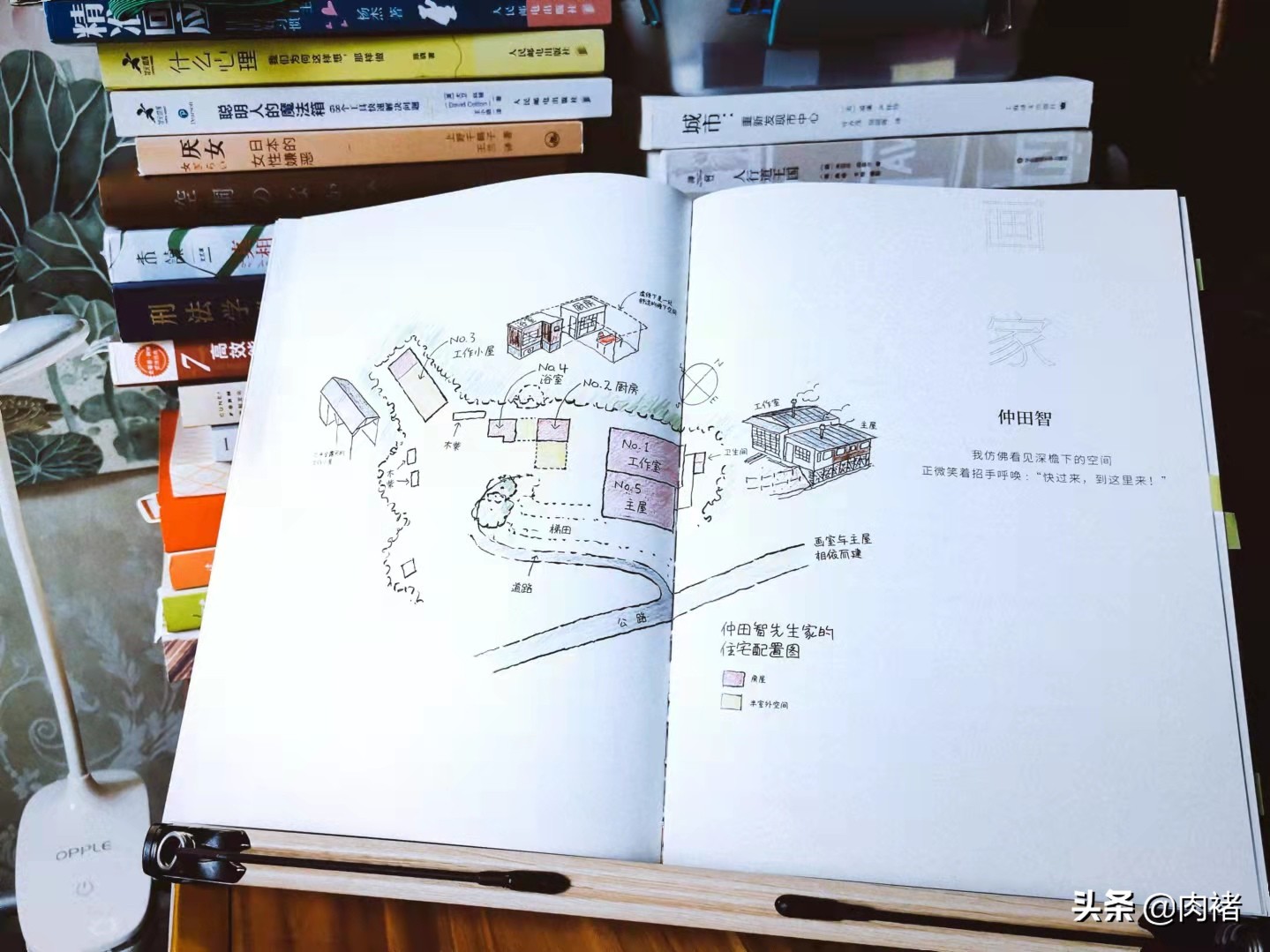 "The Hand-made Private House of the Artist of Life", home is the stage ...