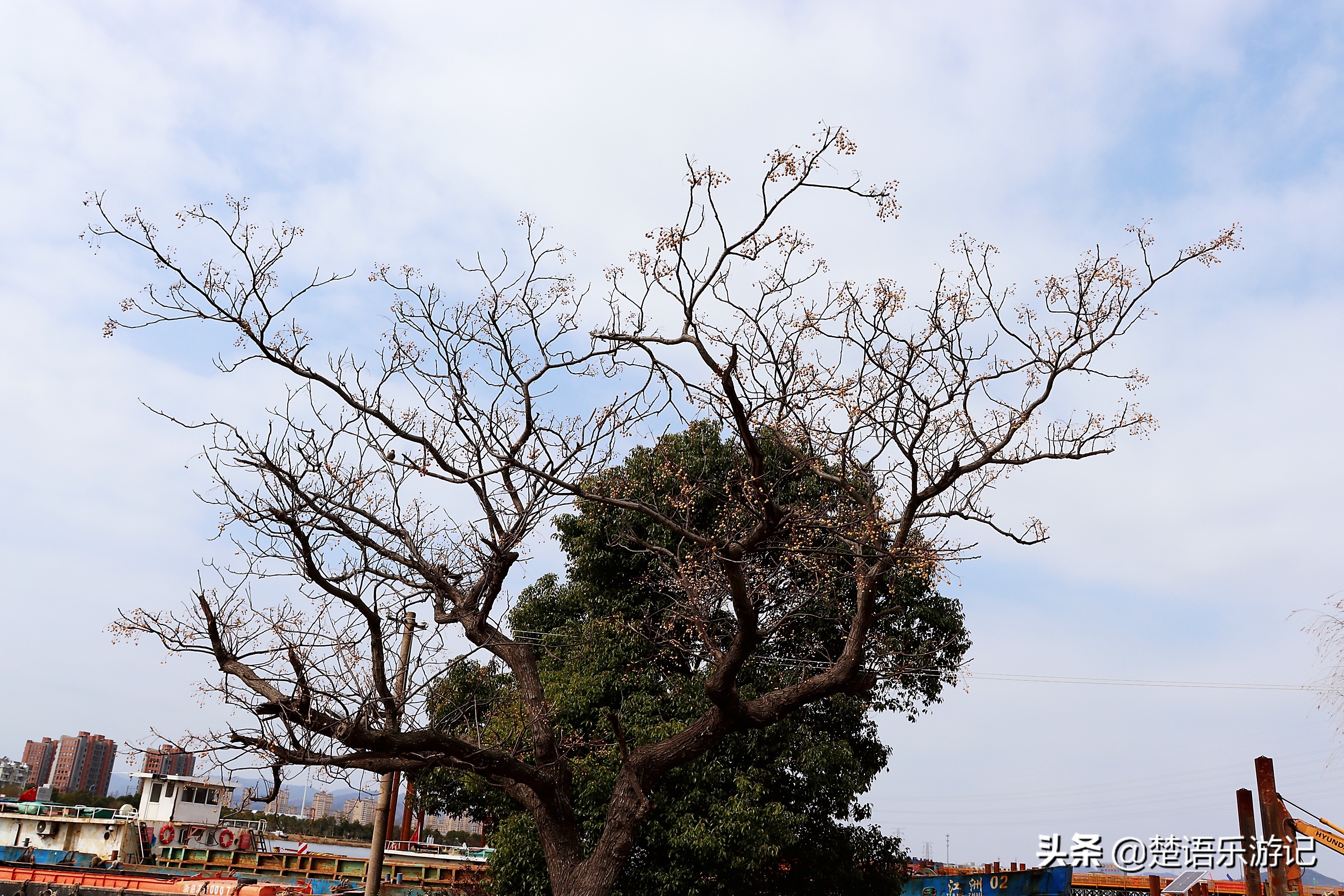 The thousand-year-old ancient ferry by the Yuyao River is about to ...
