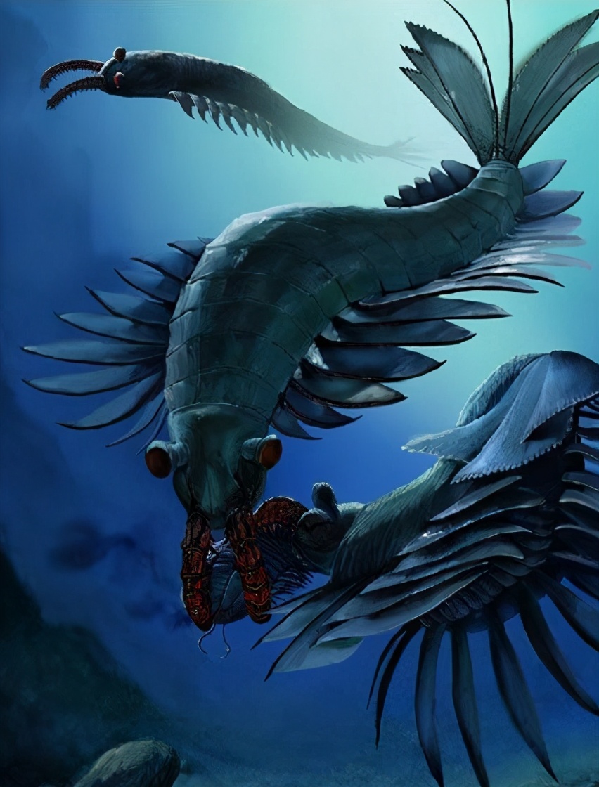 The first hegemony of the earth: shrimp - Han Wu Ji, standing at the ...