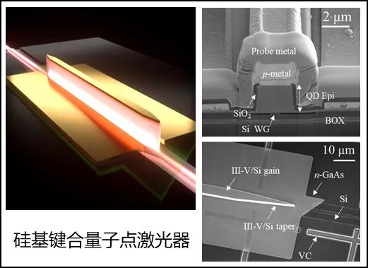 Introducing quantum dot lasers into silicon light, millions of hours of ...