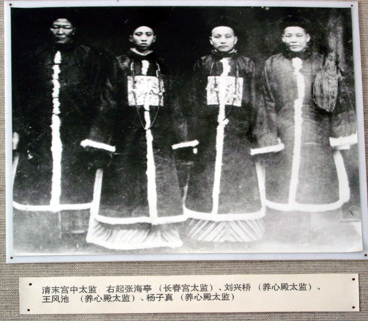 The world of eunuchs is also "rich and colorful", the "cold knowledge ...