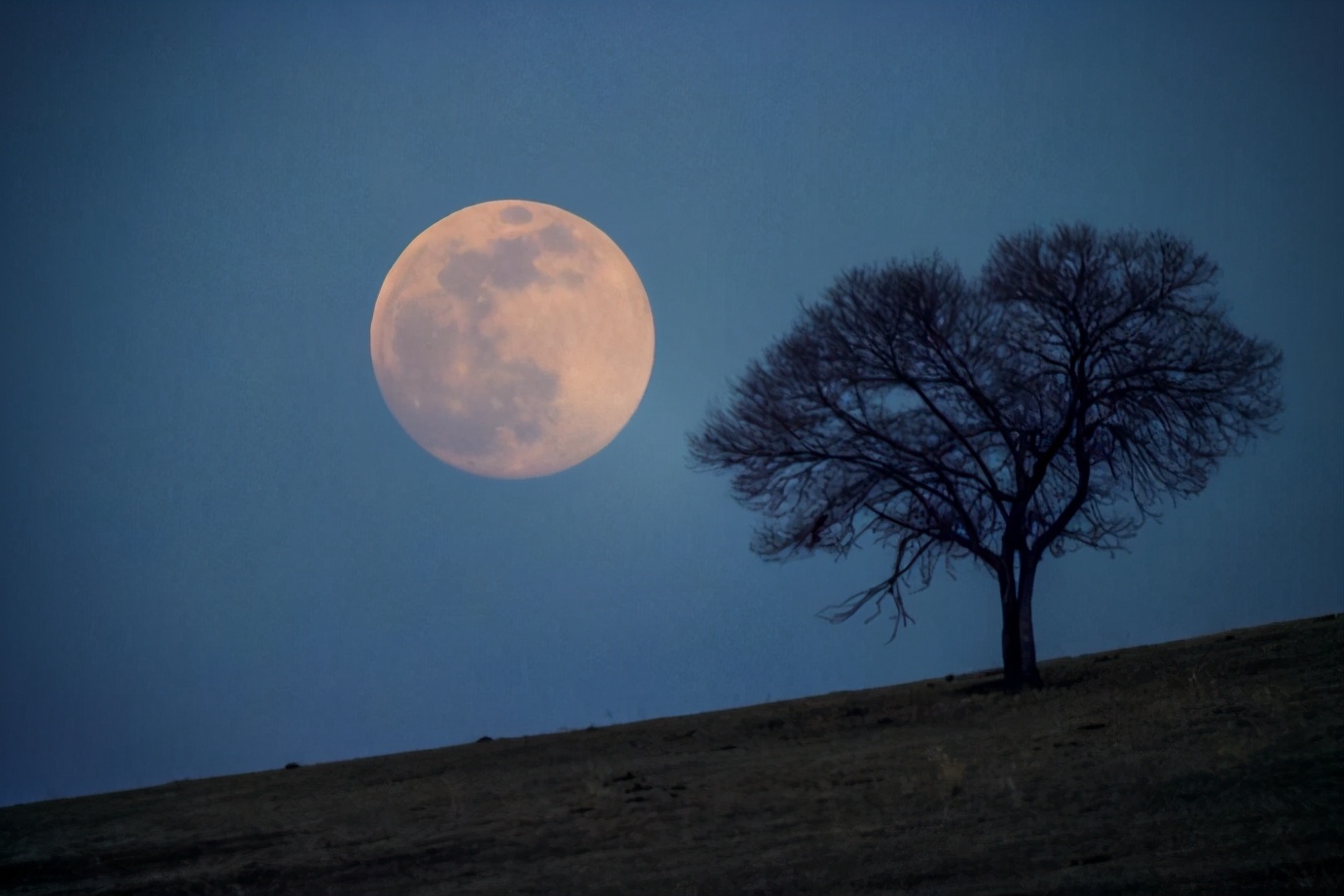 Bad omen?"Super Blood Moon" is about to appear, but some people are ...