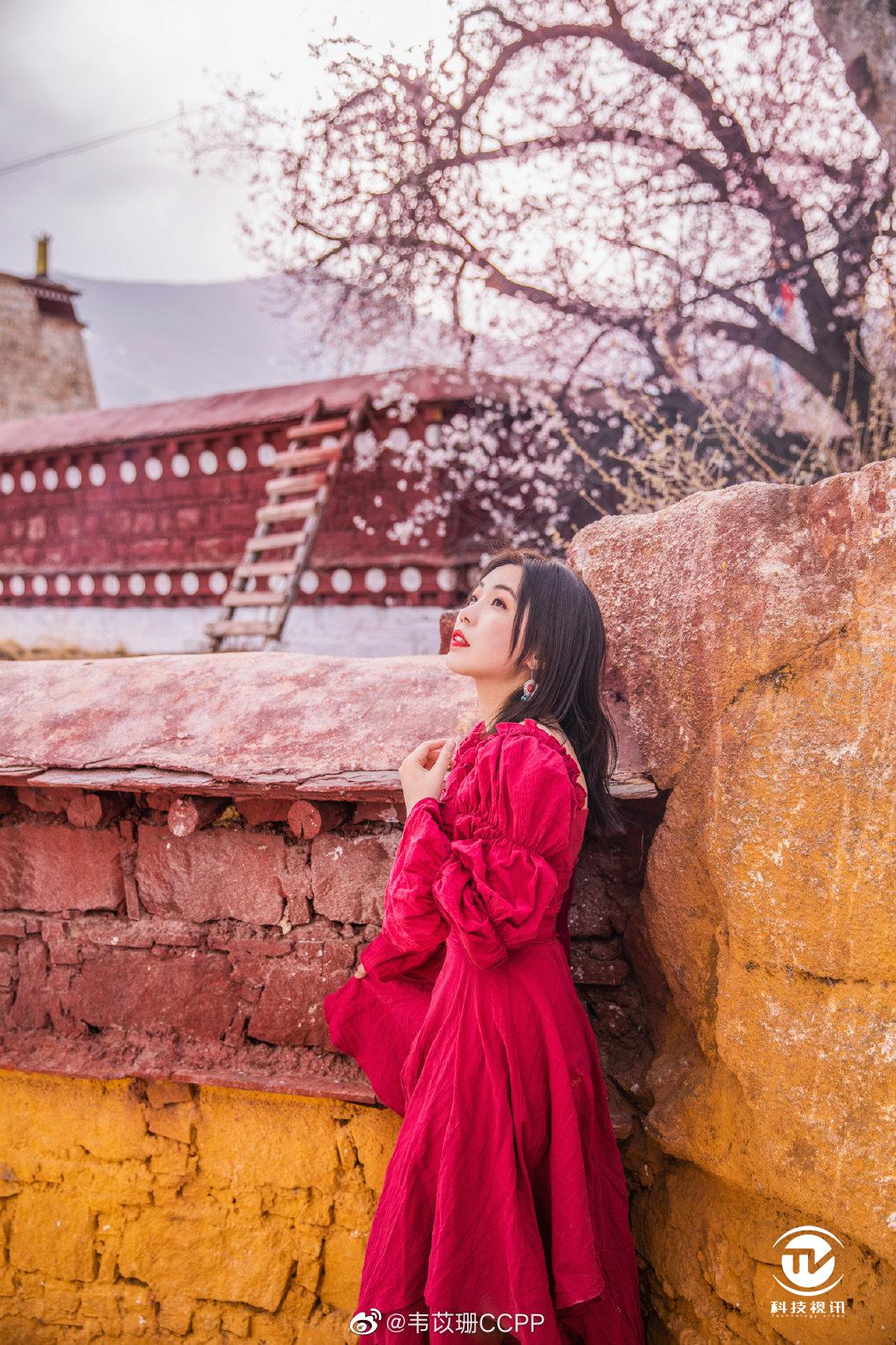 Flower Shooting Strategy: "Unified Tones" in Flower Photography - iMedia