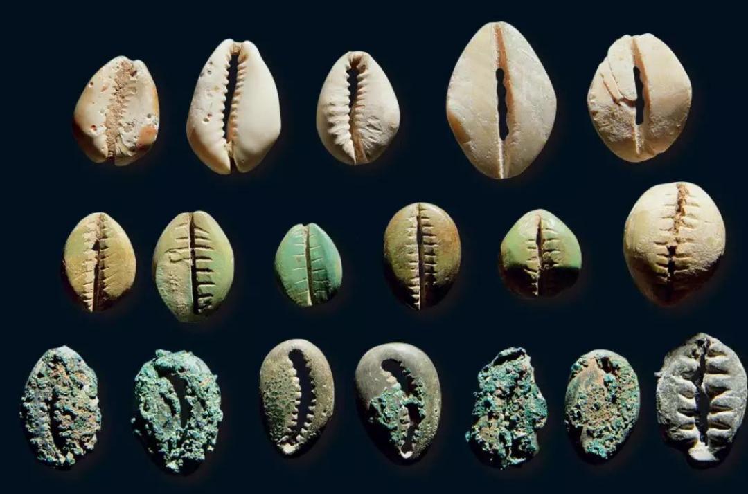 In the pre-Qin period, shells were used as currency. Why didn't the ...