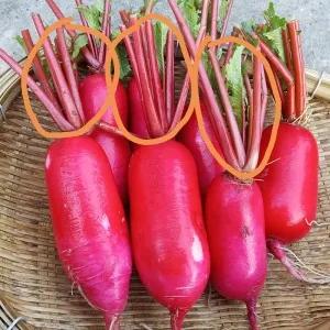 Serving meal: fried radish yam - iNEWS
