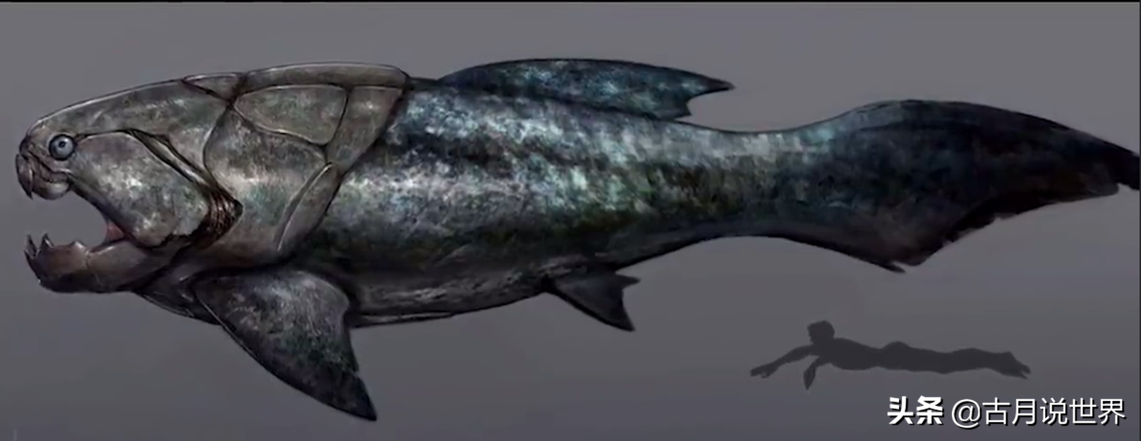 Inventory 15 kinds of prehistoric strange and huge creatures, one is ...