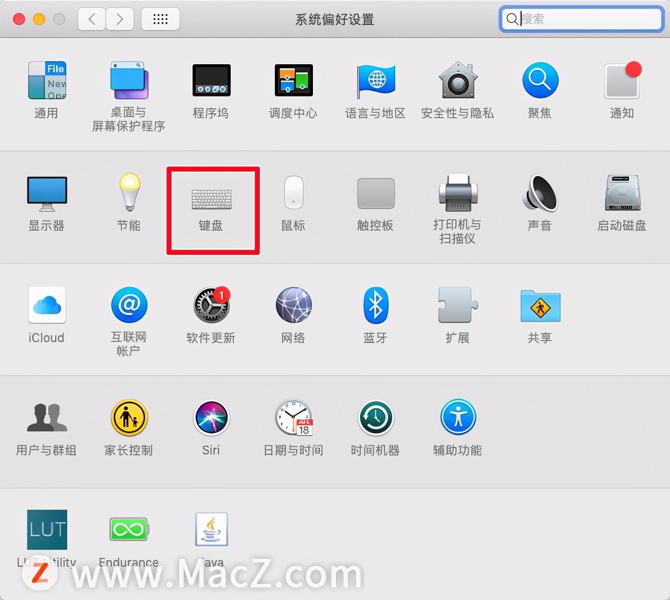 How to use alternative text on Mac? - iMedia