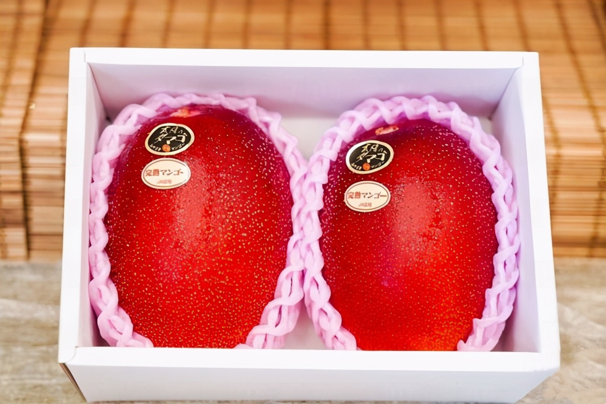 Two Japanese "son of the sun" mangoes sold for 12,000 yuan, Japanese ...