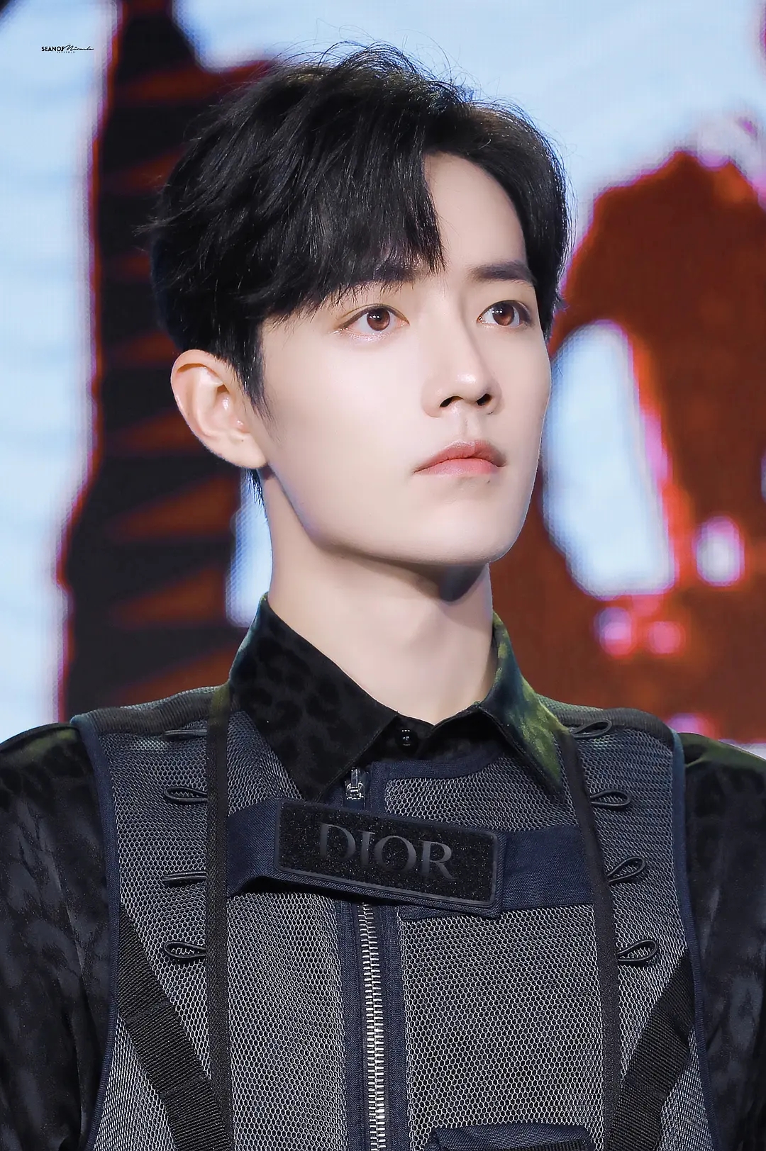 Xiao Wan's most touching ten sentences: Only people who really make ...