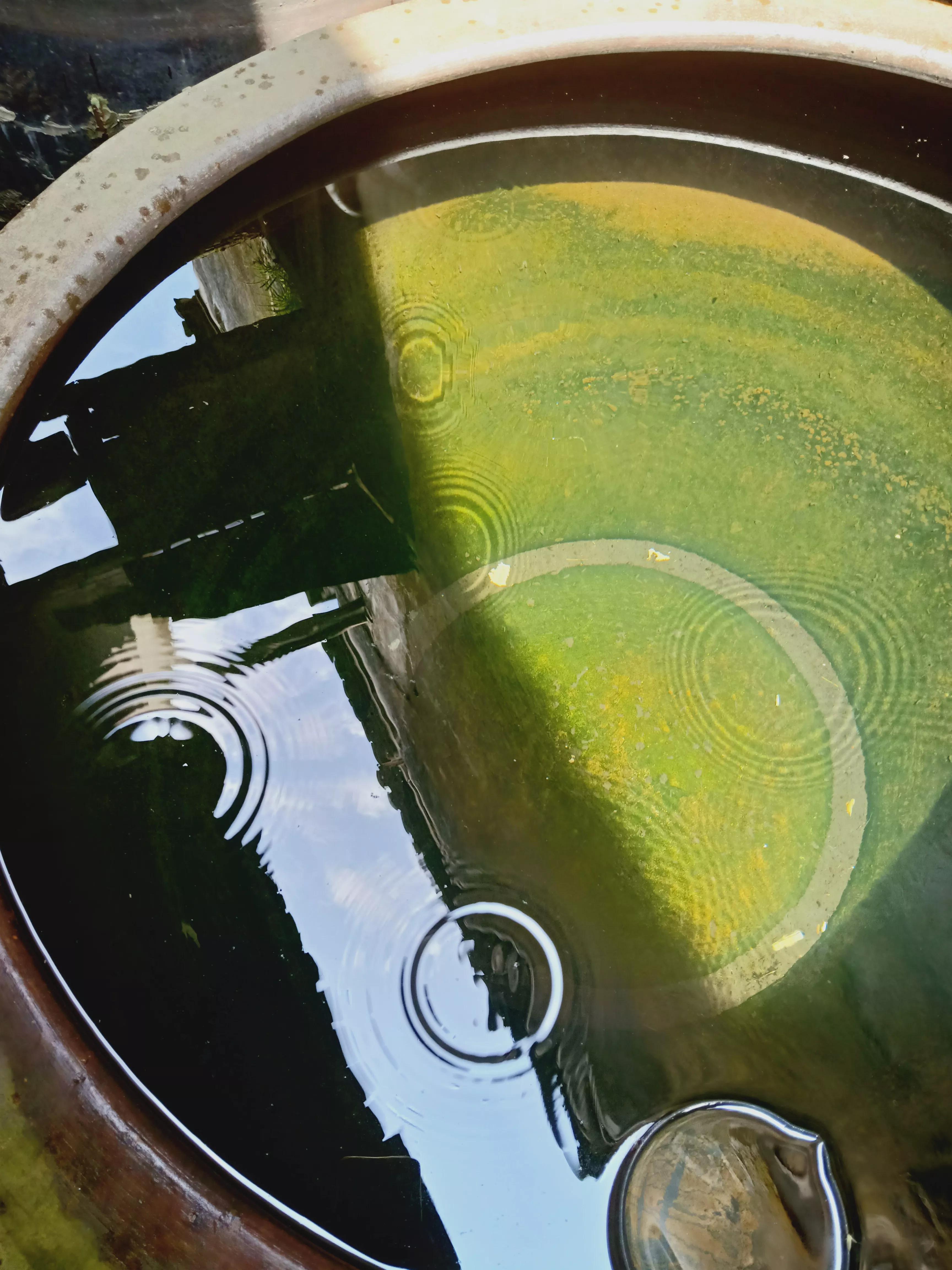 Rain in memory - iNEWS