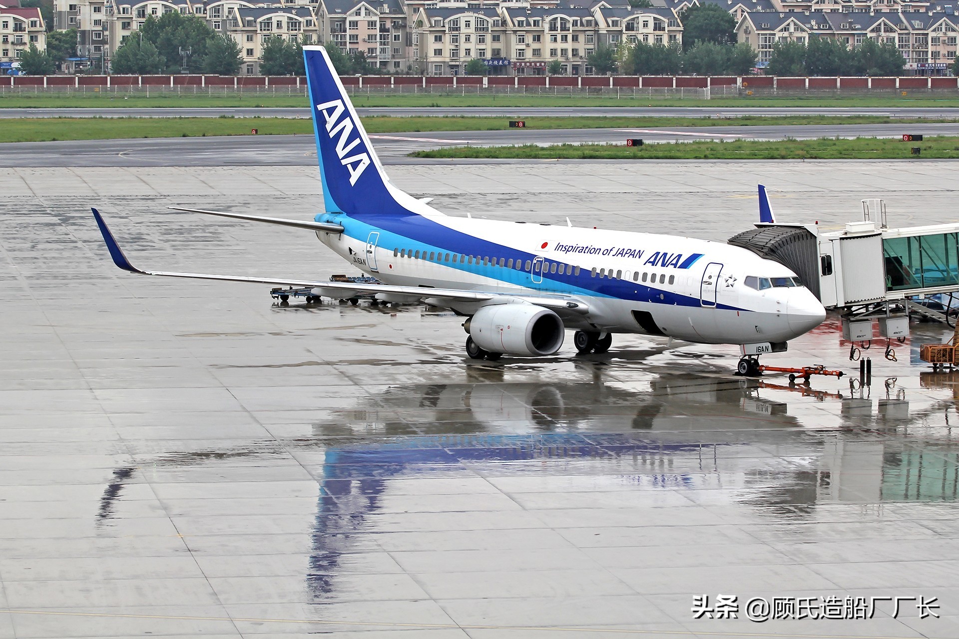 The rookie pressed the wrong button to feed the fish, remembering the ...