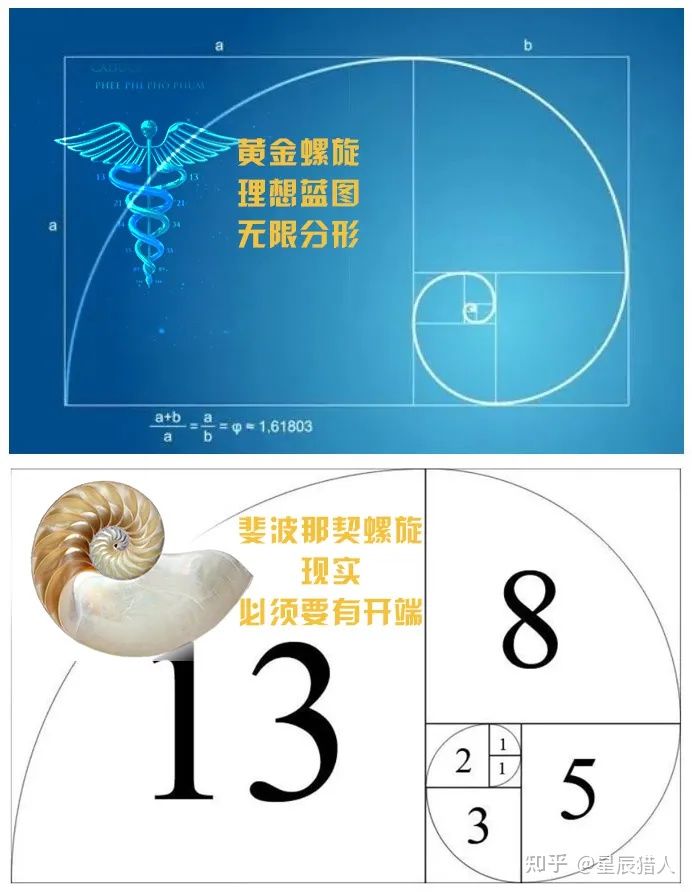 The sacred geometry followed by almost all plants and animals in nature ...