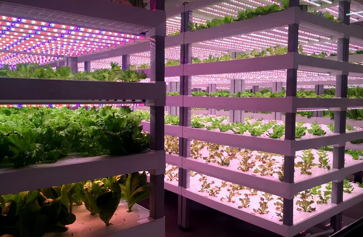 What is the fundamental reason why the International Space Station ...