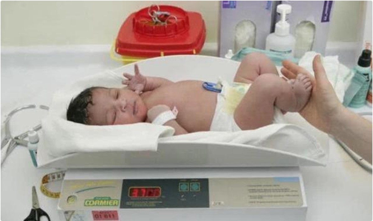 Babies weighing 5 kg, 7 kg, and 8 kg have different intelligence, but ...