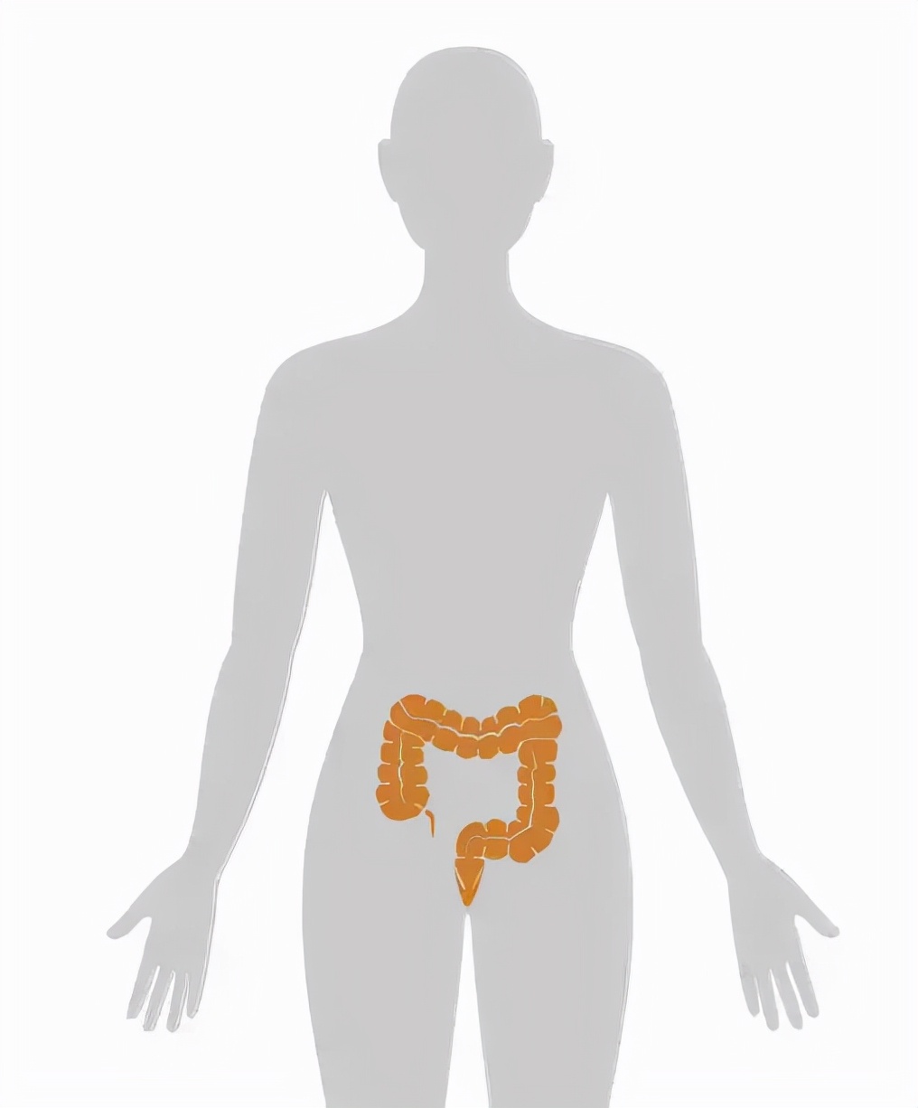 Cancer human body map, tell you the truth about cancer - iNEWS