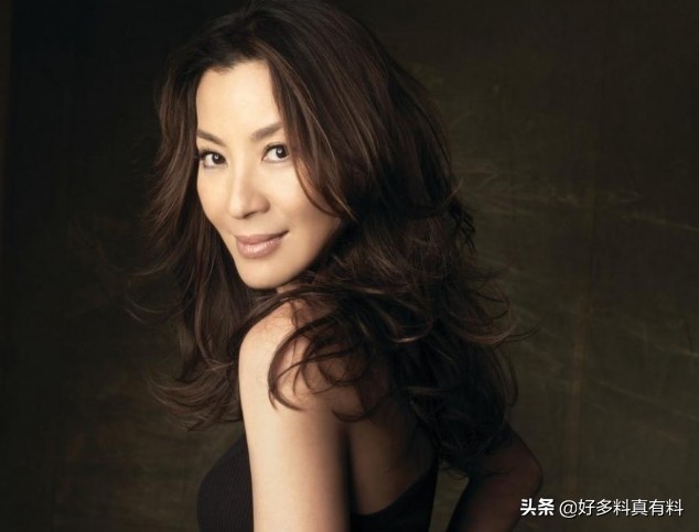 Inventory of the movies Michelle Yeoh and Donnie Yen are both ...