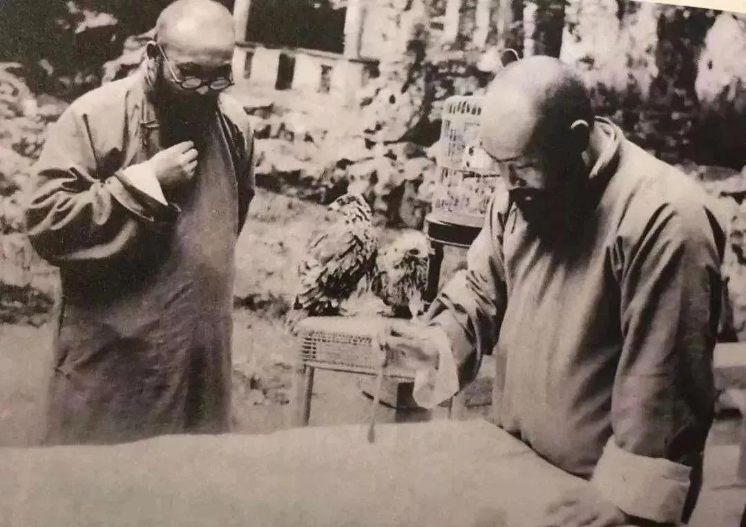 Zeng Youzhen: One son is a master, not enough for another one! - iMedia