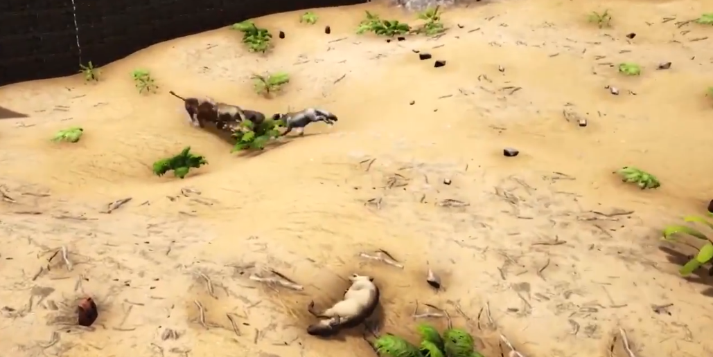 The anchor started the wolf and pig battle in "Ark Survival and Evolved ...