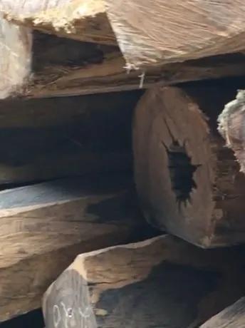 Take you to understand the "imperial wood" in mahogany-Dalbergia dimple ...