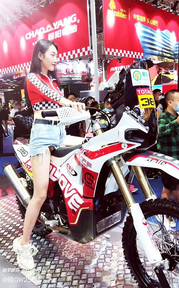 First impression of the Everest Excelle 450 Rally motorcycle: a light ...