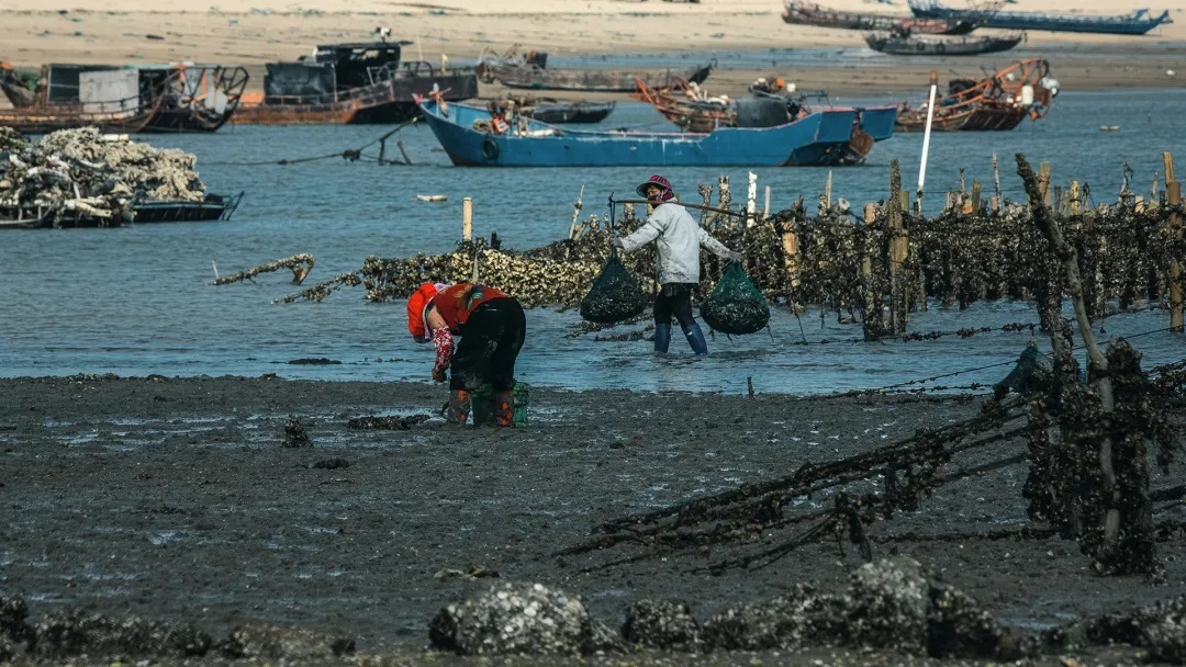 This summer, let's meet on Nanri Island in Putian City... - iMedia