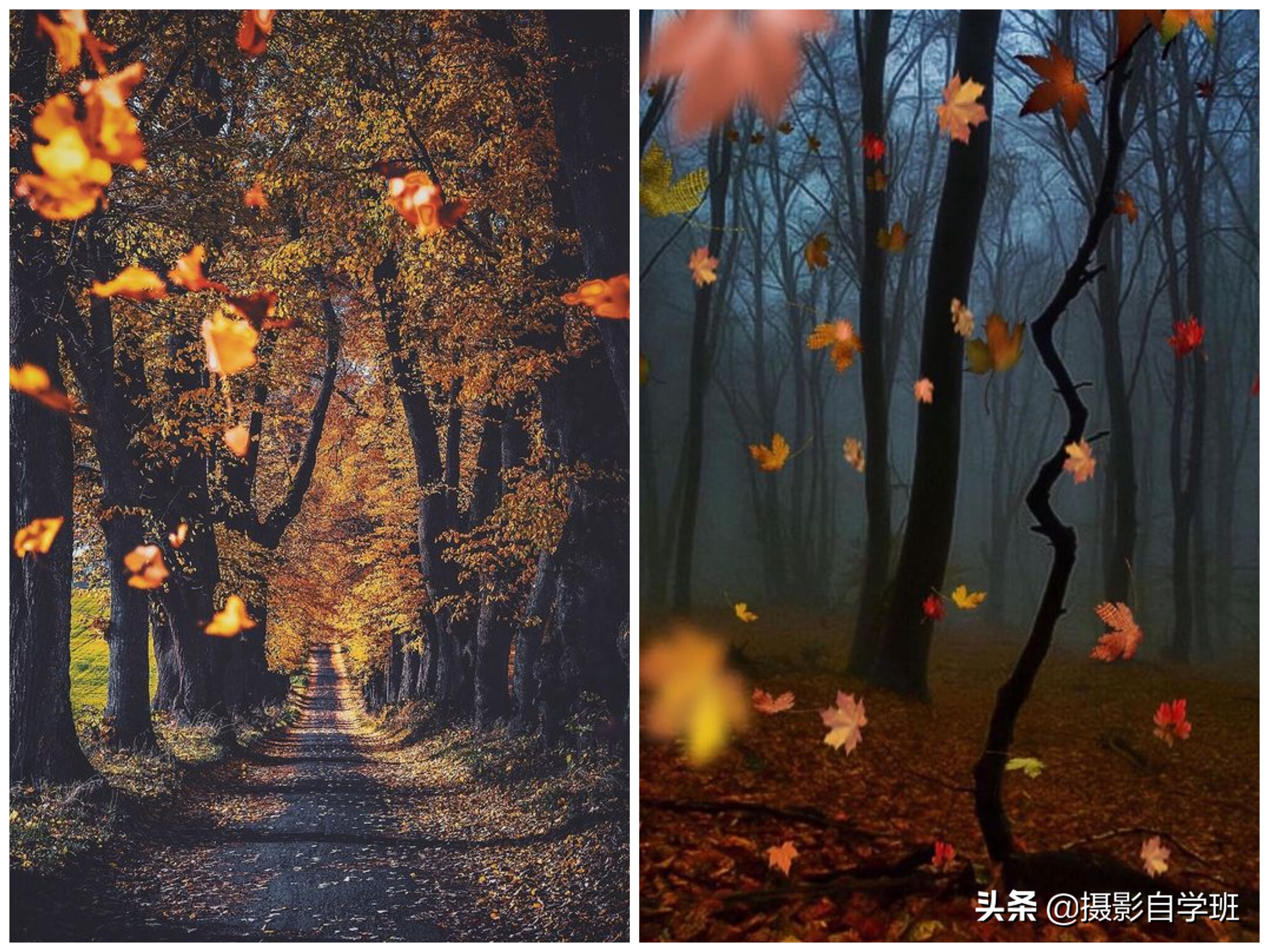 Say goodbye to cookie-cutter tourist photos, these 9 landscape ...