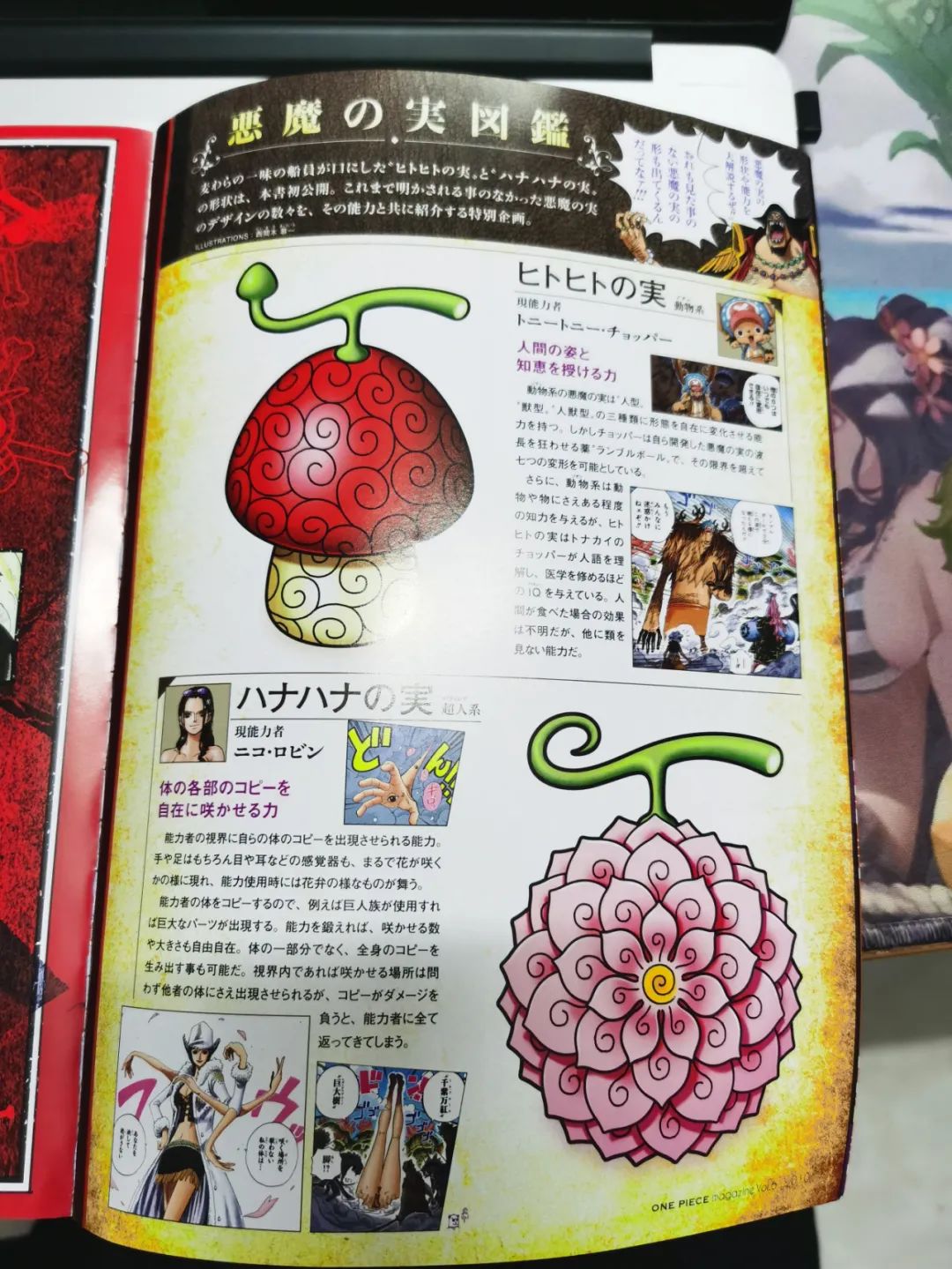 The Devil Fruit Illustrated Book is here!12 unseen "devil fruit shapes ...