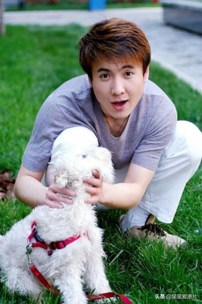 The comedies of Stephen Chow, Shen Teng, Wang Baoqiang, and Huang Bo ...