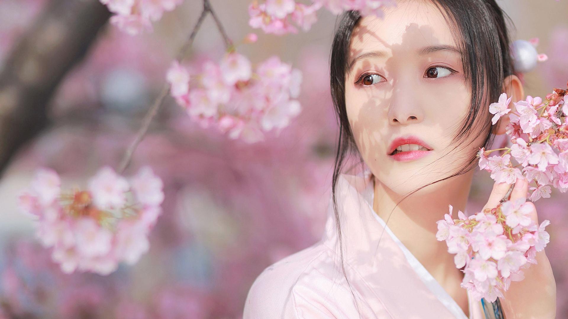 The beauty under the romantic cherry tree - iNEWS