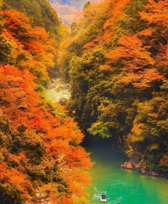 How shocking is nature?These 20 pictures will open your eyes - iNEWS