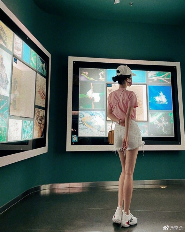 36-year-old Li Nian went to the exhibition alone, her slender back ...