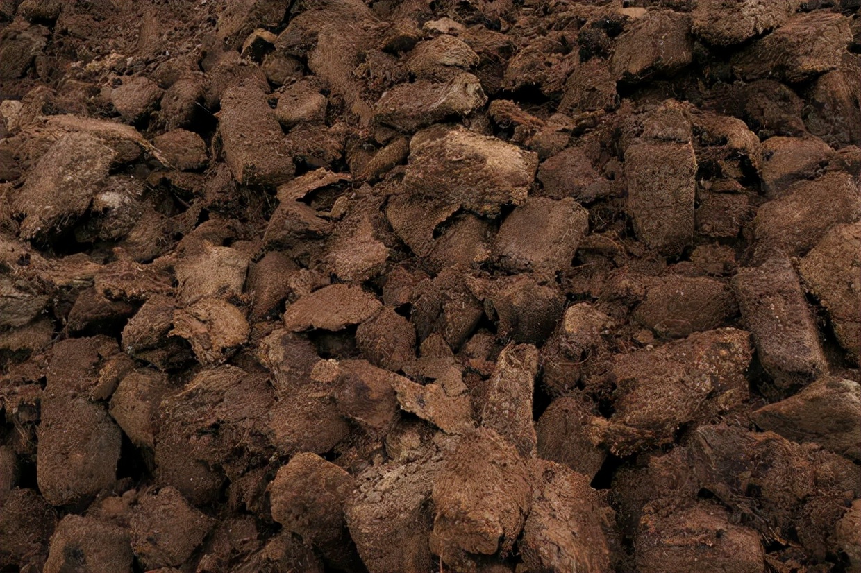 Coal prices have soared, consuming billions of tons every year. Will ...