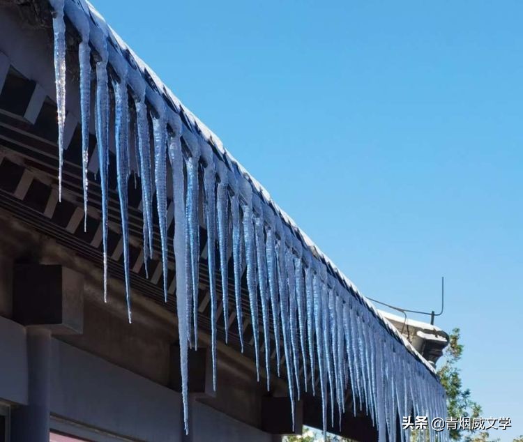 Meng Dong is so cold, there is no Fanghua in the North (12 poems) - iNEWS