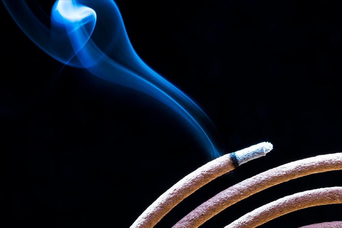 "Three Body": Why did Ye Wenjie choose Luo Ji as the heir to the Dark ...