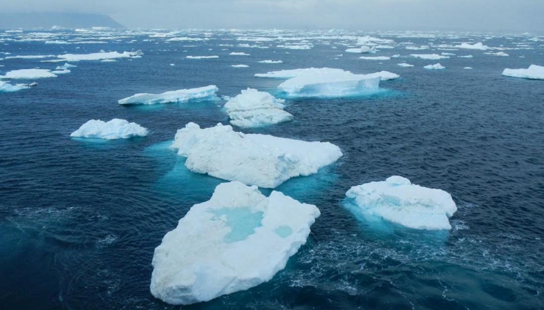 650 million tons, if human overfishing of krill, what impact will it ...