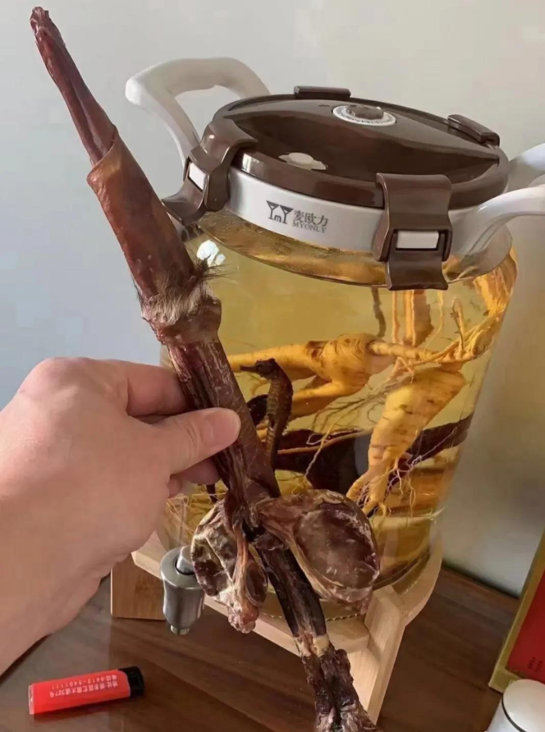 How to eat dry deer whip/fresh deer whip and how to eat it best? - iNEWS