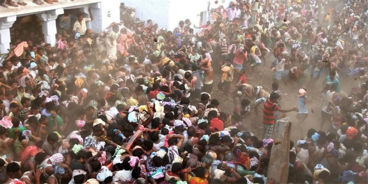 Throwing cow dung at each other at the wonderful Indian “dung-splashing ...
