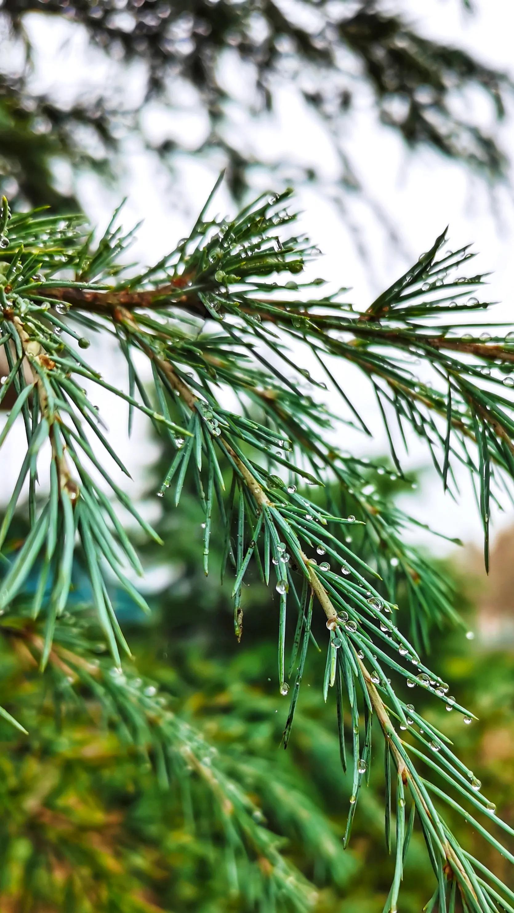 Several common frame ratios and characteristics in photography - iNEWS