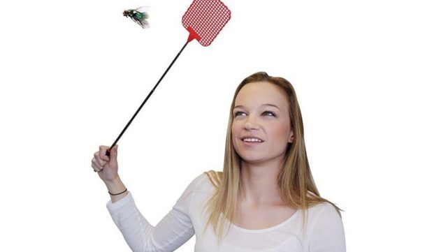 Why is it difficult to hit flies with your hands, but easy with a beat ...