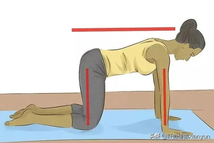 How to find the "neutral position" of the body for beginners practicing ...